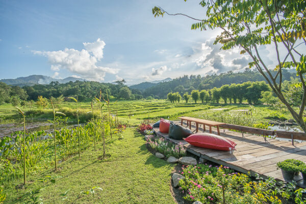 ANNA FARM & EATERY ทานข้าว จิบเครื่องดื่มท่ามกลาง ธรรมชาติ
