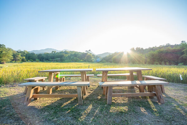 ANNA FARM & EATERY ธรรมชาติที่ไม่ต้องไปไกลจากตัวเมือง