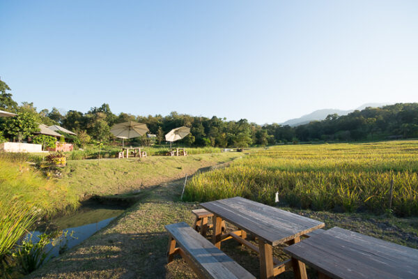 ANNA FARM & EATERY ธรรมชาติที่ไม่ต้องไปไกลจากตัวเมือง