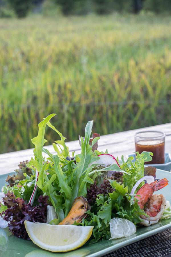 ANNA FARM & EATERY ธรรมชาติที่ไม่ต้องไปไกลจากตัวเมือง