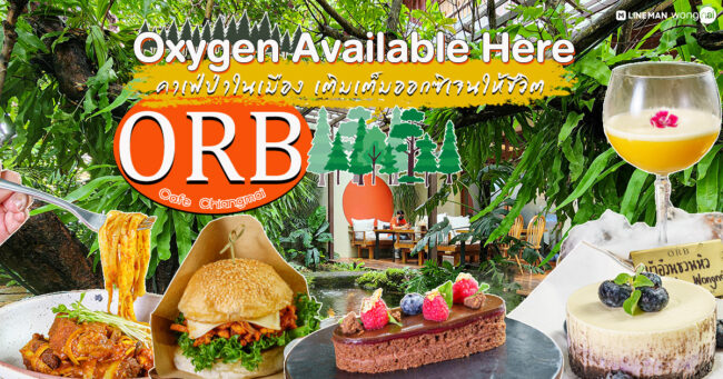เติมออกซิเจนให้ชีวิต กับคาเฟ่ป่ากลางเมืองที่ ORB Cafe Chiangmai